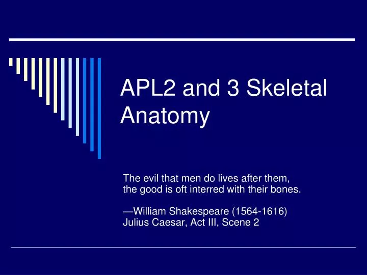 PPT - APL2 and 3 Skeletal Anatomy PowerPoint Presentation, free ...