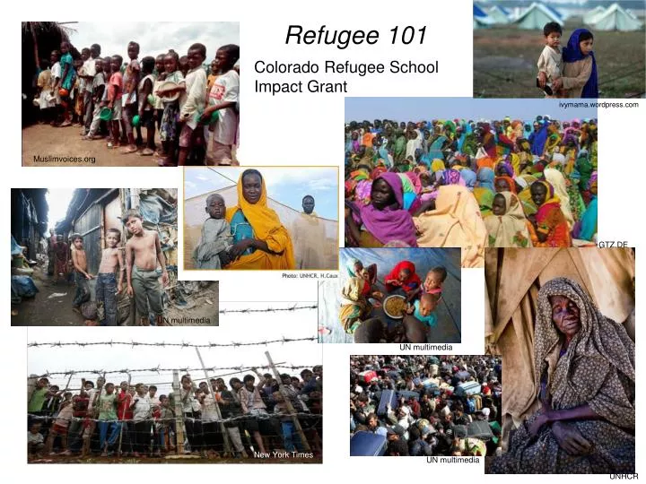 PPT - Refugee 101 PowerPoint Presentation, free download - ID:1873438