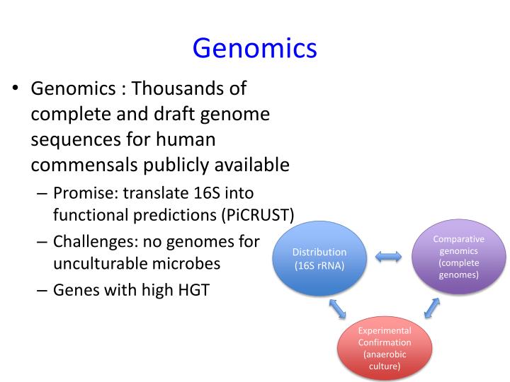 PPT - The Microbiome and Metagenomics PowerPoint Presentation - ID:1873912