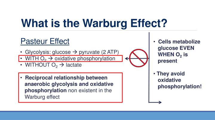 PPT - Warburg Effect & Oncology PowerPoint Presentation - ID:1874861