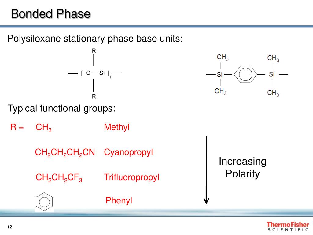 PPT - Choosing the Right Consumables for GC David Steiniger Senior ...