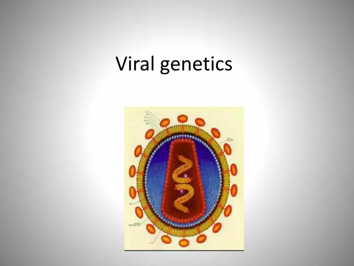 PPT - Viral genetics PowerPoint Presentation, free download - ID:1874947