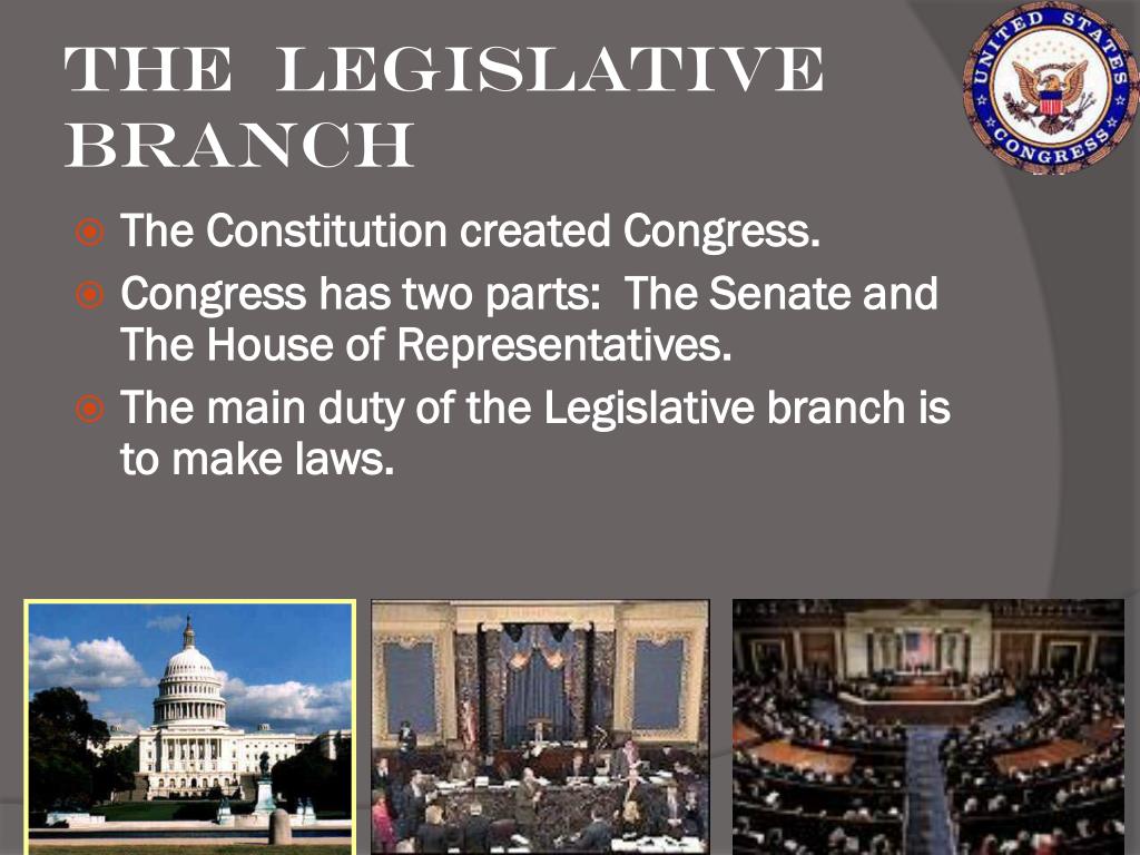 PPT - Understanding the Three Branches of the U.S. Government ...