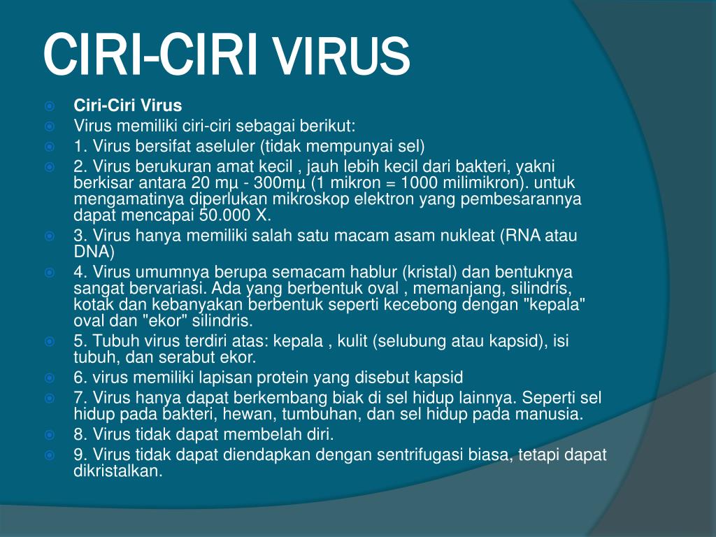 Pengertian Virus Dan Ciri Ciri Virus Serta Sejarahnya - vrogue.co Pengertian Virus Dan Ciri Ciri Virus Serta Sejarahnya - vrogue.co