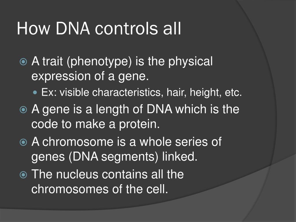 PPT - Chapters 8 & 9 DNA and Protein Synthesis The Central Dogma ...