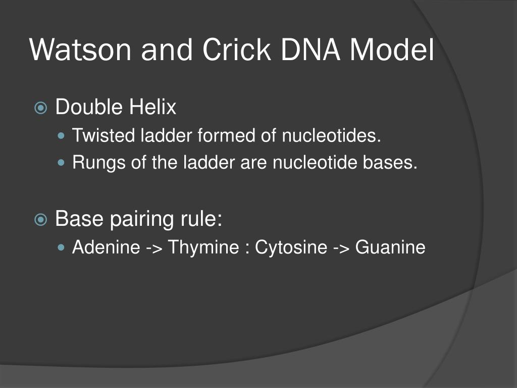 PPT - Chapters 8 & 9 DNA and Protein Synthesis The Central Dogma ...