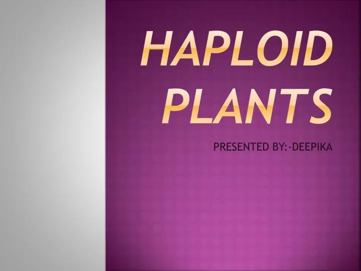 PPT - HAPLOID PLANTS PowerPoint Presentation, free download - ID:1876618
