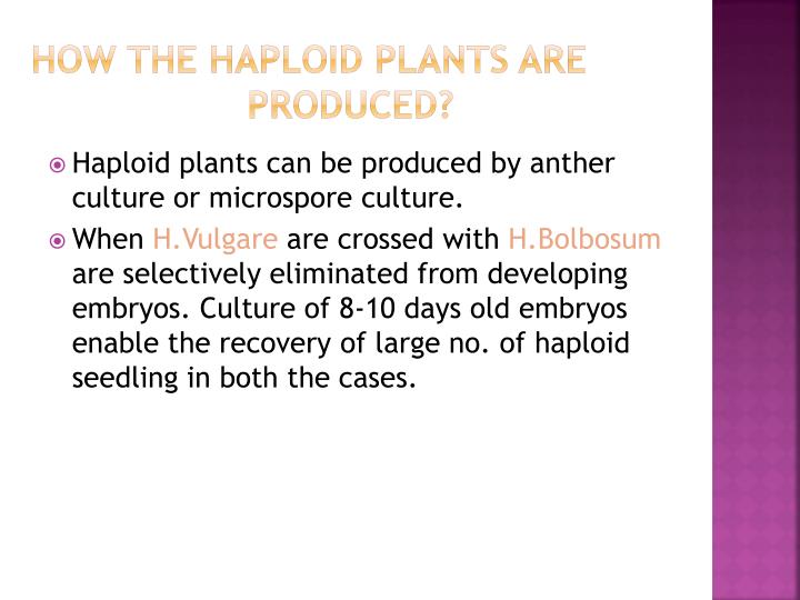 PPT - HAPLOID PLANTS PowerPoint Presentation - ID:1876618