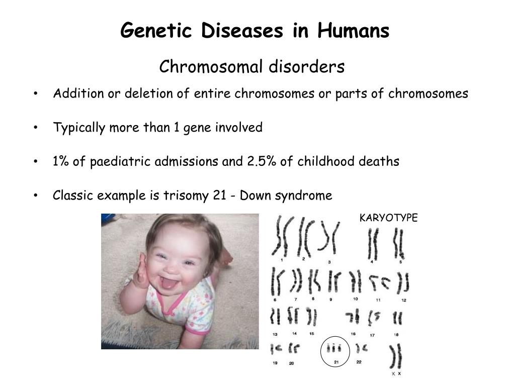 PPT - Molecular Basis of Genetic Diseases and Tools of Human Molecular ...
