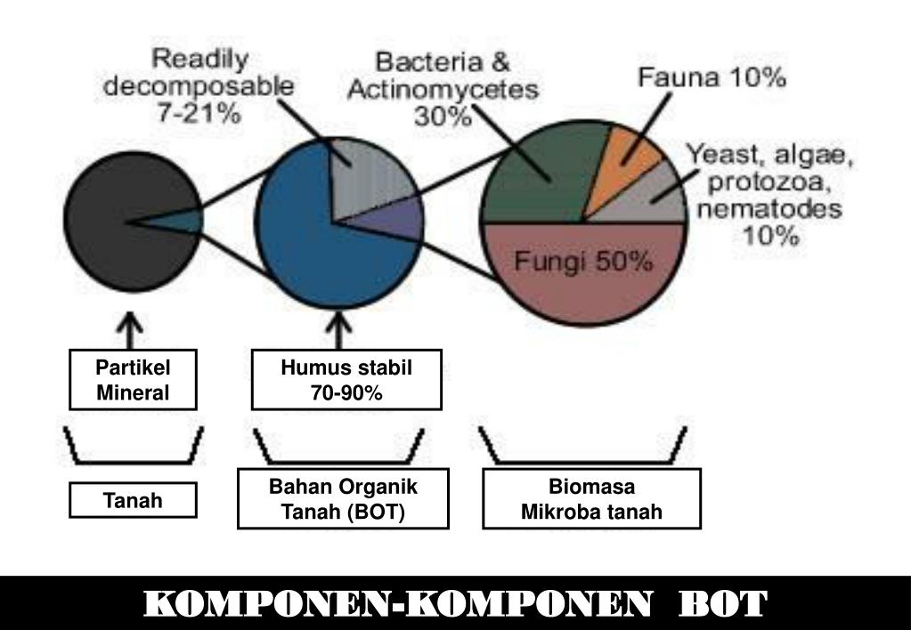 PPT - MANAJEMEN KESUBURAN TANAH HUMUS BAHAN ORGANIK TANAH Prod Dr Ir ...