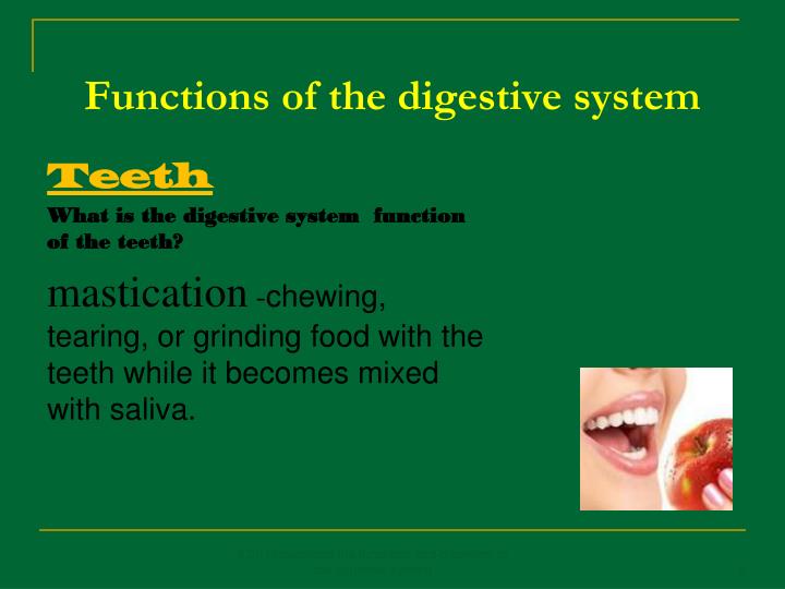 PPT - 2.08 Understand the functions and disorders of the digestive ...
