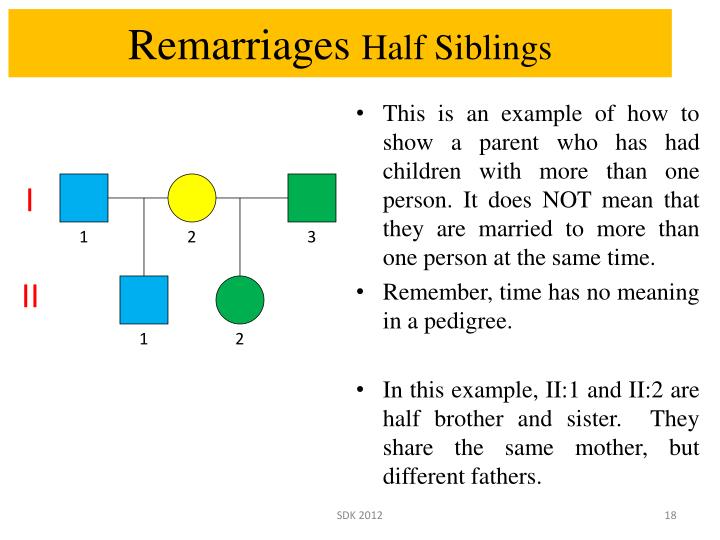 PPT - Pedigree Analysis PowerPoint Presentation - ID:1877759