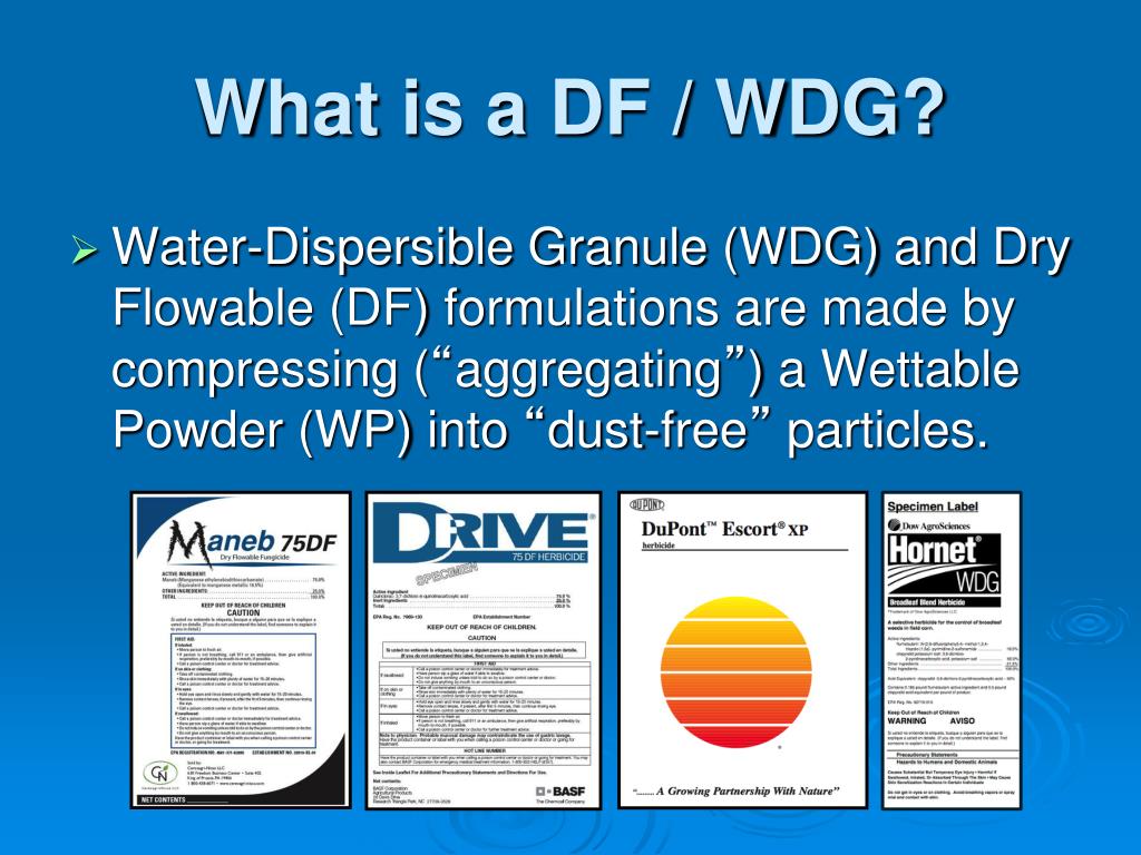 PPT - What is a DF / WDG? PowerPoint Presentation, free download - ID ...