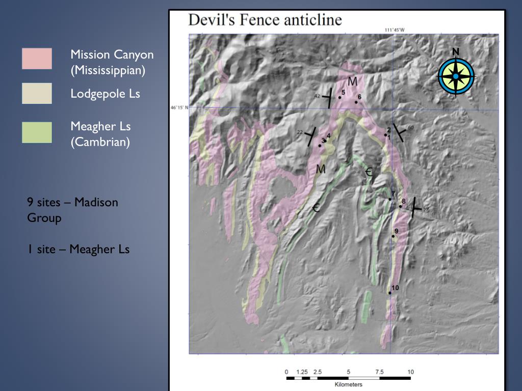 PPT - PALEOMAGNETISM AND ROCK MAGNETISM OF CARBONATE ROCKS FROM THE ...
