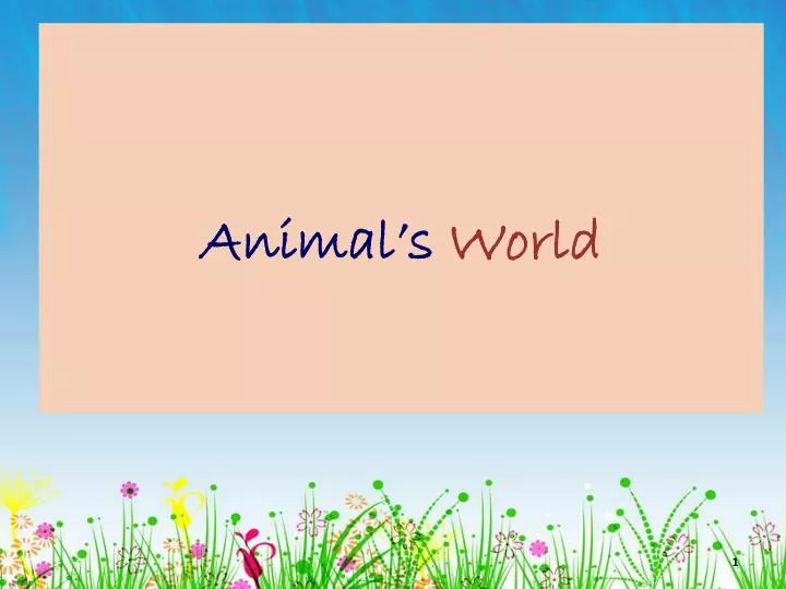 PPT - Animal’s World PowerPoint Presentation, free download - ID:1878286