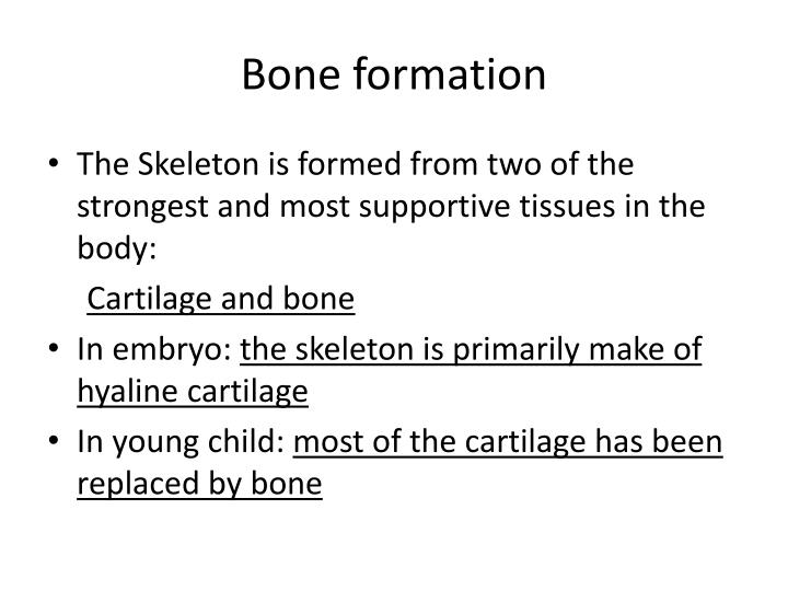 PPT - Bone Formation, Growth and Remodeling PowerPoint Presentation ...