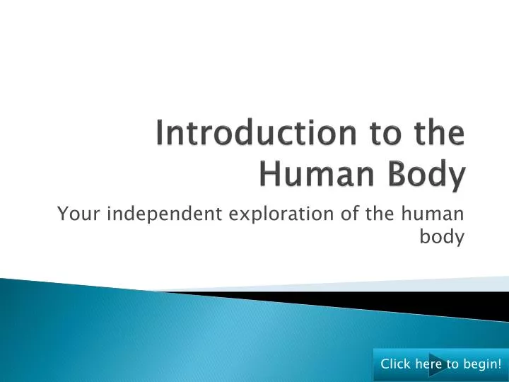 Ppt Introduction To The Human Body Powerpoint Presentation Free