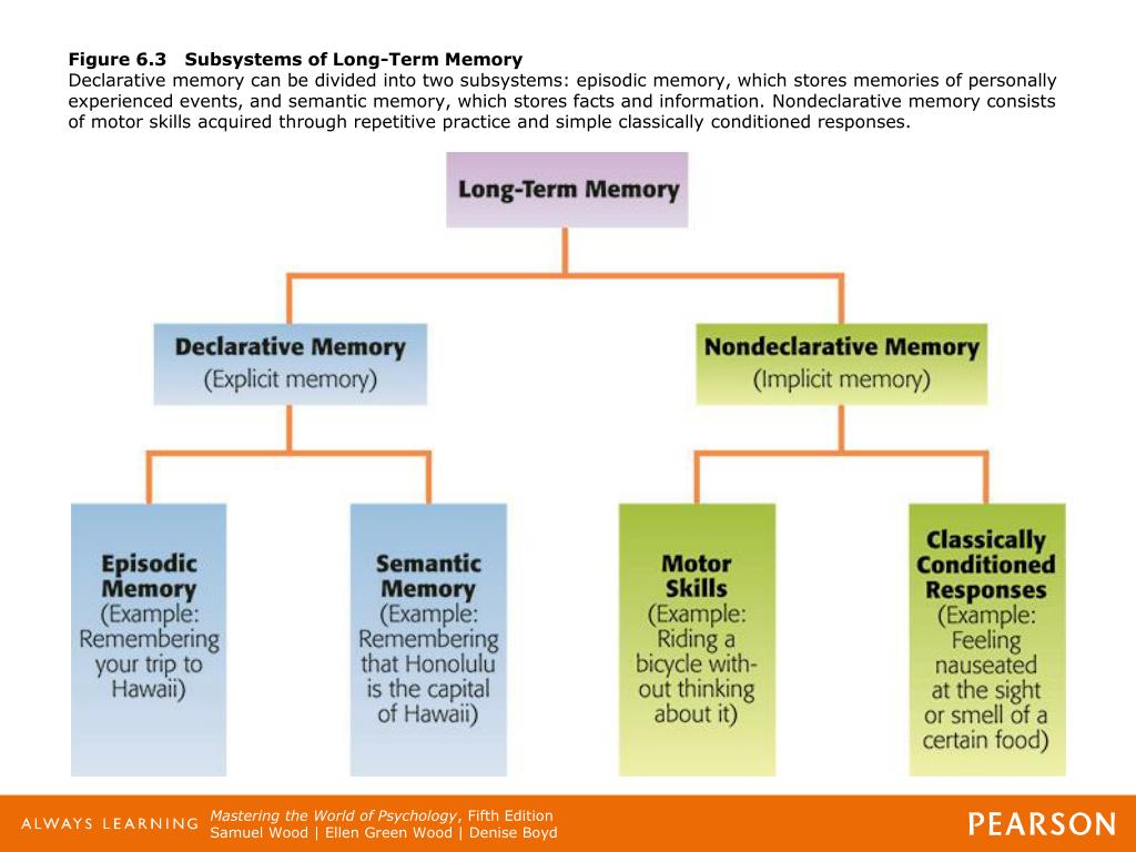 Longterm Memory 81 How Memory Functions By Openstax Longterm Memory 81 How Memory Functions By Openstax