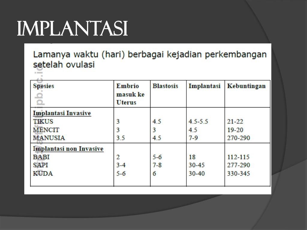 PPT - IMPLANTASI, selaput ekstra embrionik DAN PLASENTA si PowerPoint ...