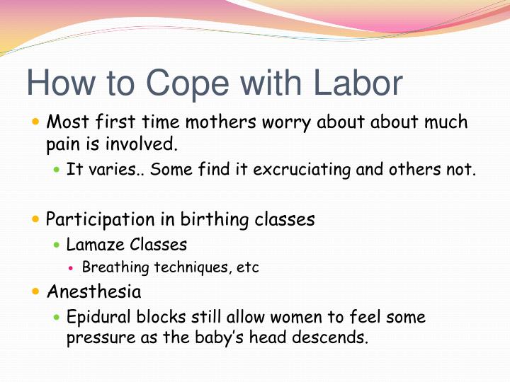 PPT - Labor and Birth PowerPoint Presentation - ID:1879045