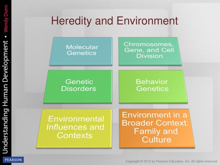 ️ How heredity and environment influence human development. INTERACTION ...