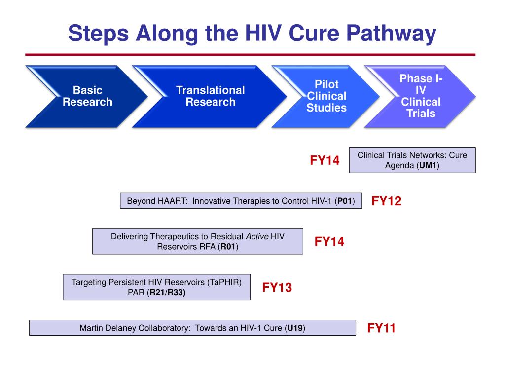 PPT - NIAID Funding Opportunities in HIV/AIDS Research PowerPoint ...