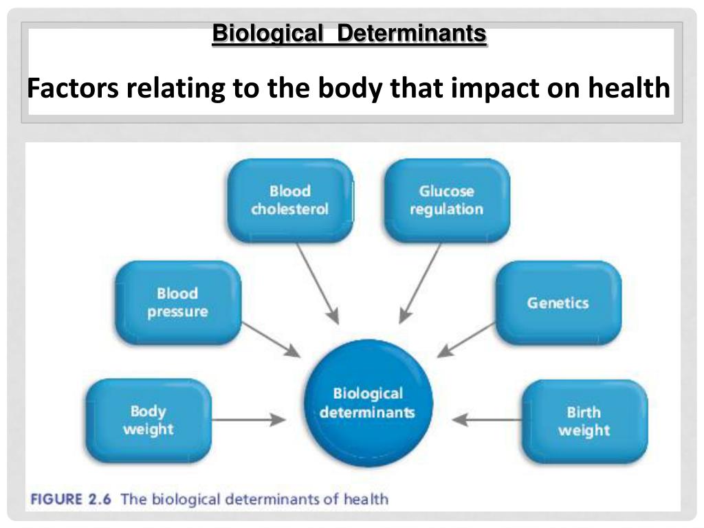 PPT - Determinants of Health PowerPoint Presentation, free download ... PPT - Determinants of Health PowerPoint Presentation, free download ...