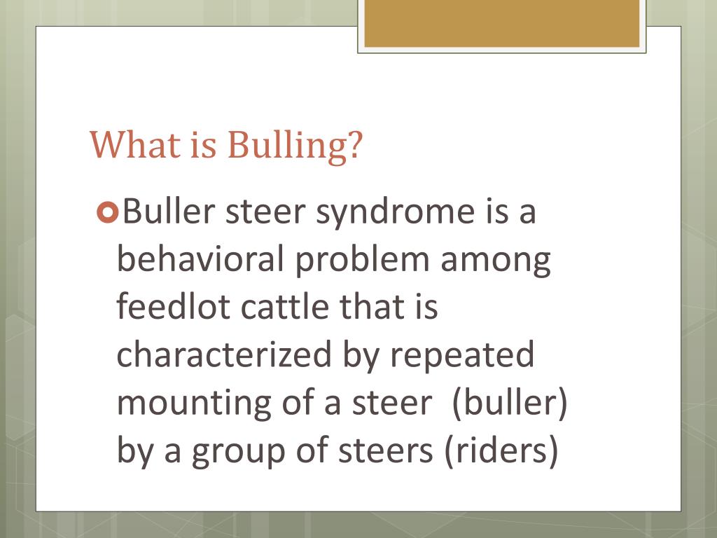 PPT - Bullers : What’s the Big Deal PowerPoint Presentation, free ...