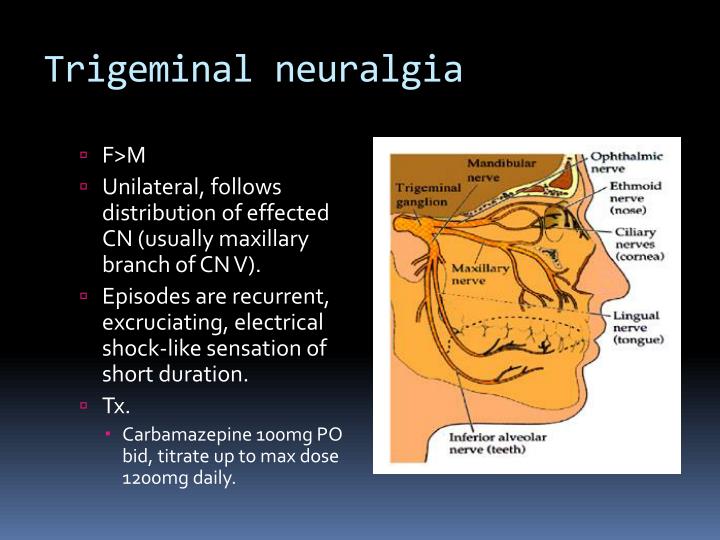 PPT - Oral dental emergencies PowerPoint Presentation - ID:1880246