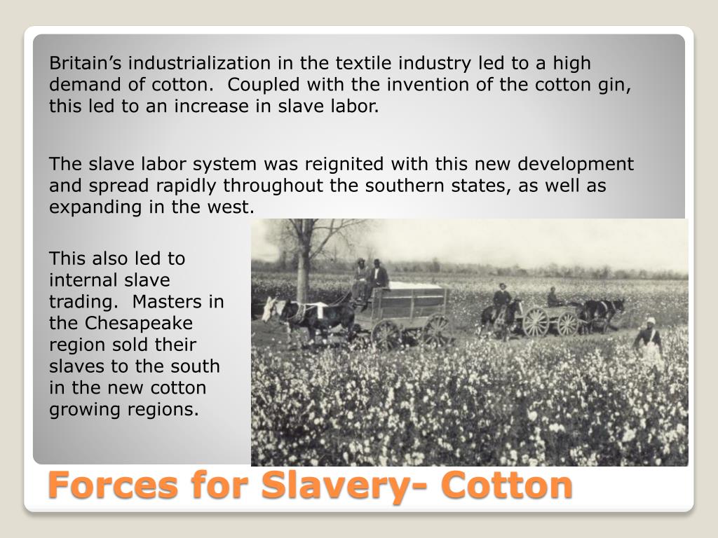 PPT - African Americans in the New Nation (1783-1820) Part I PowerPoint ...