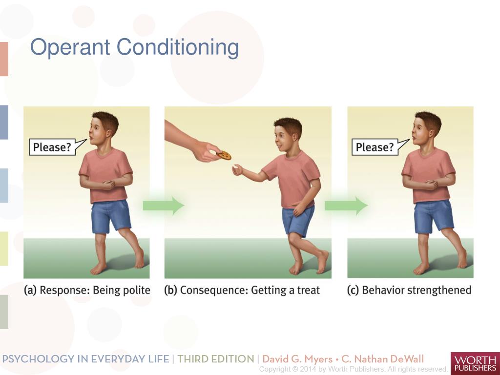 Operant Learning Operant Learning