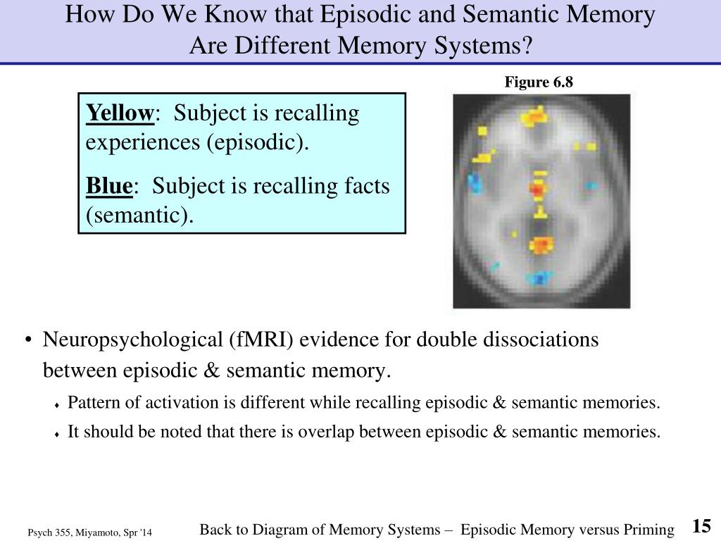 PPT - Psychology 355: Cognitive Psychology Instructor : John Miyamoto 5 ...