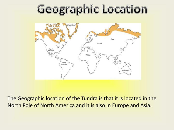 PPT - The Biome of Tundra PowerPoint Presentation - ID:1880936
