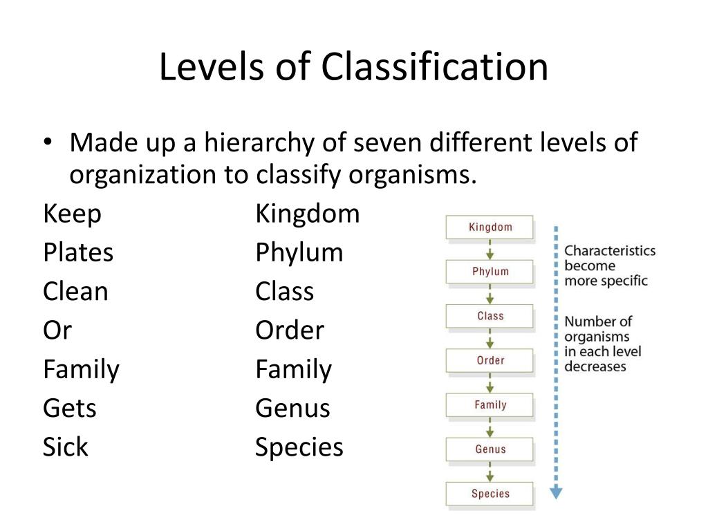 PPT - Classification – Chapter 18 PowerPoint Presentation, free ... PPT - Classification – Chapter 18 PowerPoint Presentation, free ...