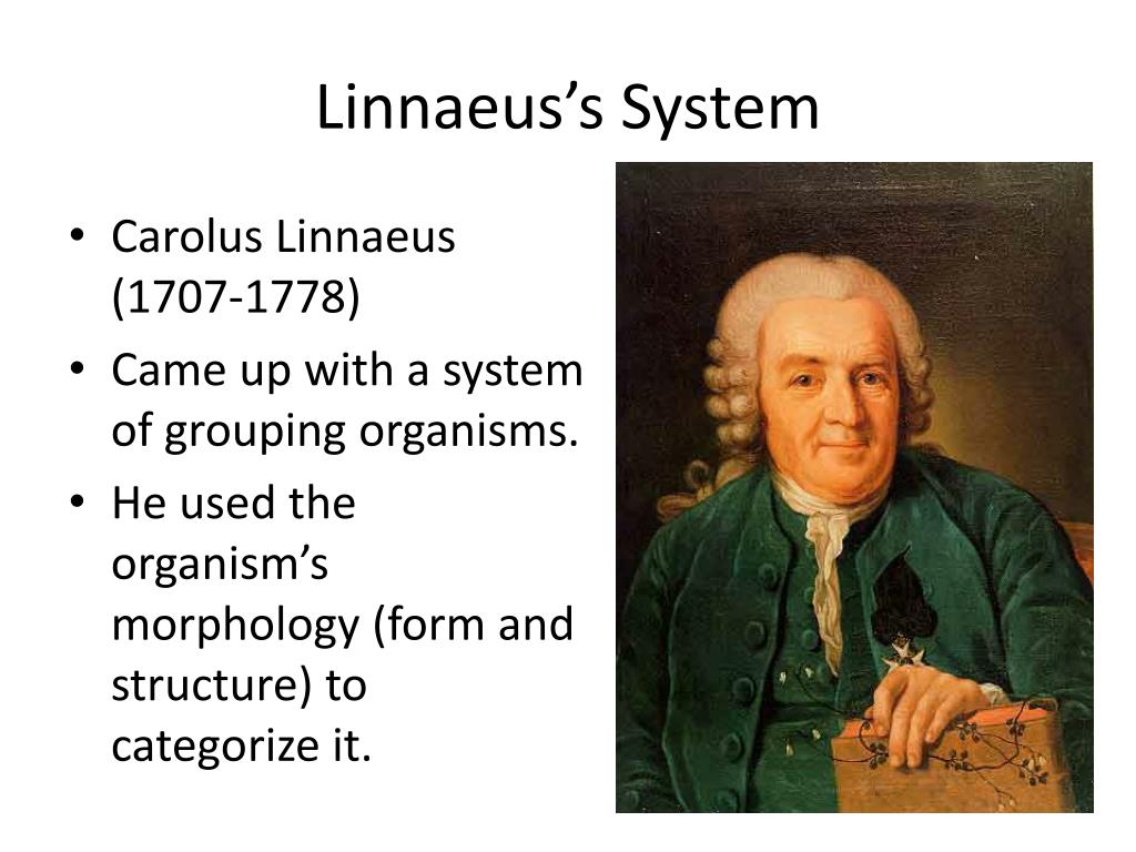 PPT - Classification – Chapter 18 PowerPoint Presentation, free ... PPT - Classification – Chapter 18 PowerPoint Presentation, free ...