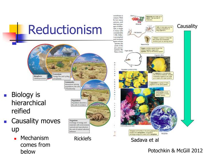 PPT - Is there a mechanism deficit in ecology? PowerPoint Presentation ...