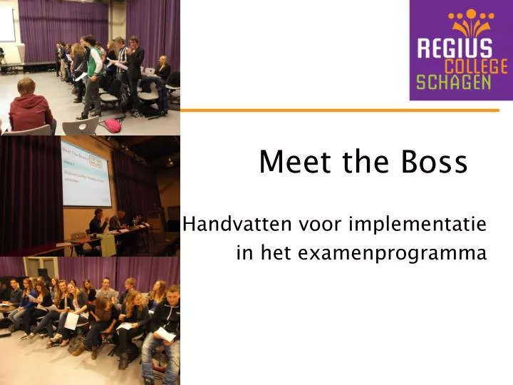 PPT - Meet the Boss PowerPoint Presentation, free download - ID:1881673