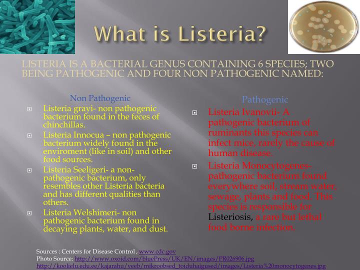 PPT - Listeria PowerPoint Presentation - ID:1882185