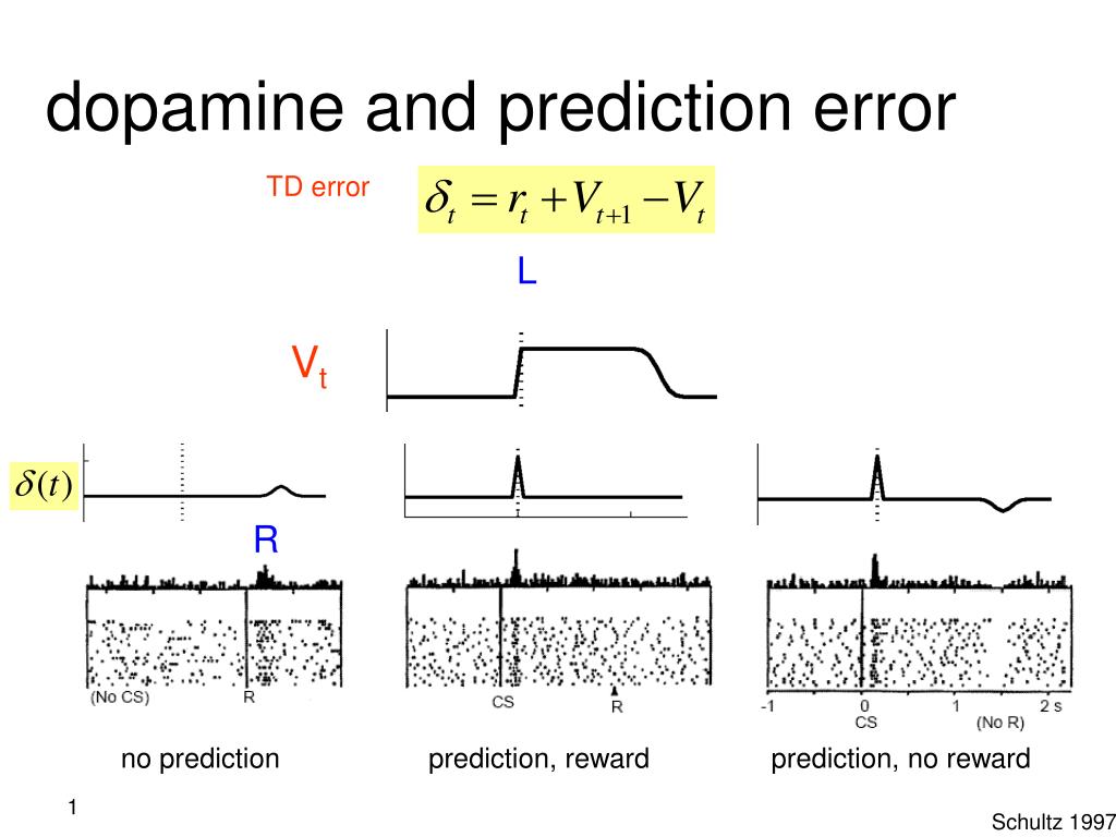 PPT - dopamine and prediction error PowerPoint Presentation, free ... PPT - dopamine and prediction error PowerPoint Presentation, free ...