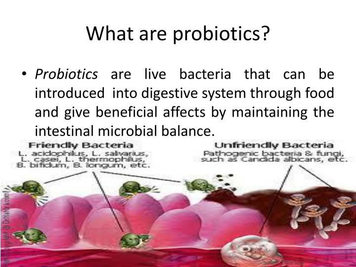 PPT - SUMUL PRO-Fit PROBIOTIC DAHI PowerPoint Presentation - ID:1882355