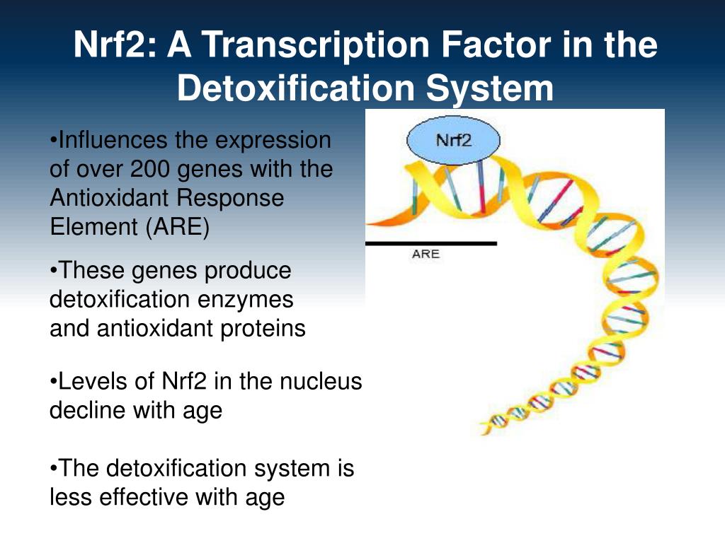 PPT - Kelly Crotty Dr. Tory Hagen PowerPoint Presentation, free ...