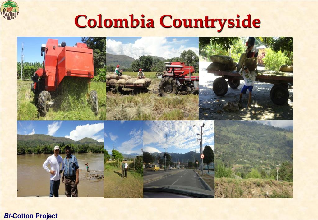 PPT - Bt-Cotton Commercialization : Case Study of Colombia Dr. Waturu C ...