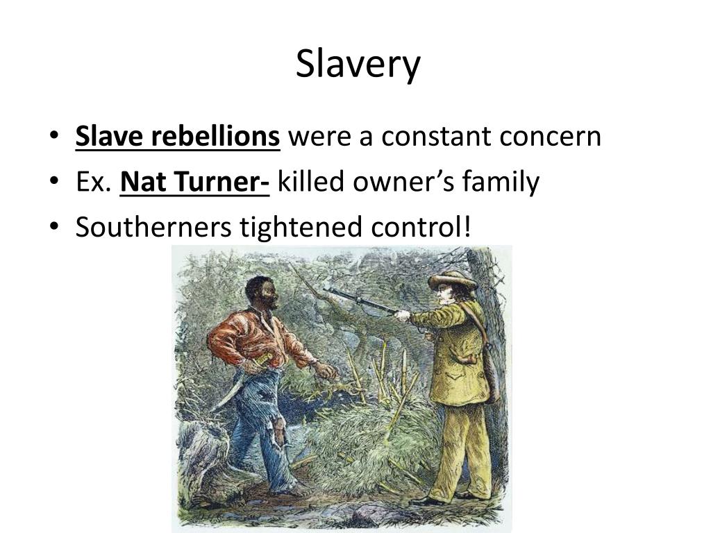 PPT - Slavery and the Road to Civil War PowerPoint Presentation, free ...