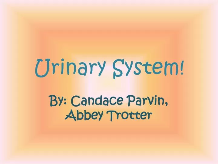 PPT - Urinary System! PowerPoint Presentation, free download - ID:1883467