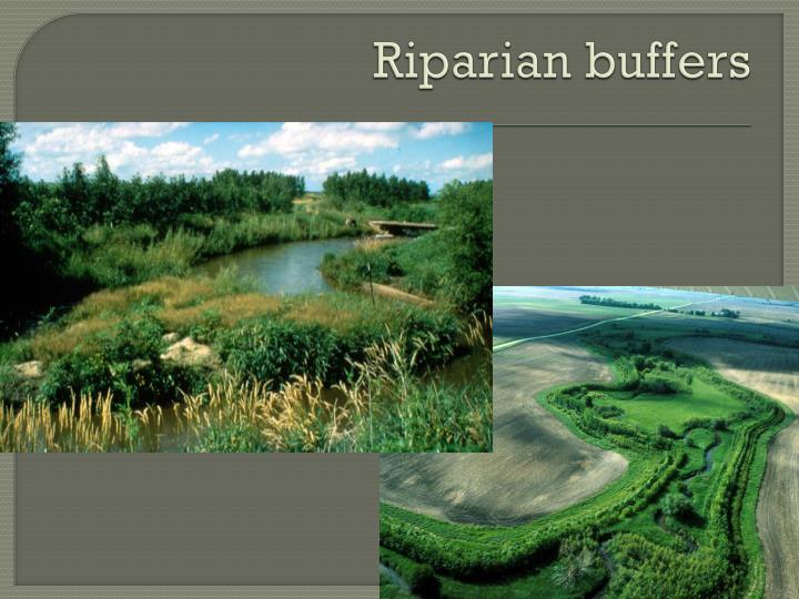 PPT - Introduction to Agroforesty PowerPoint Presentation - ID:1883810