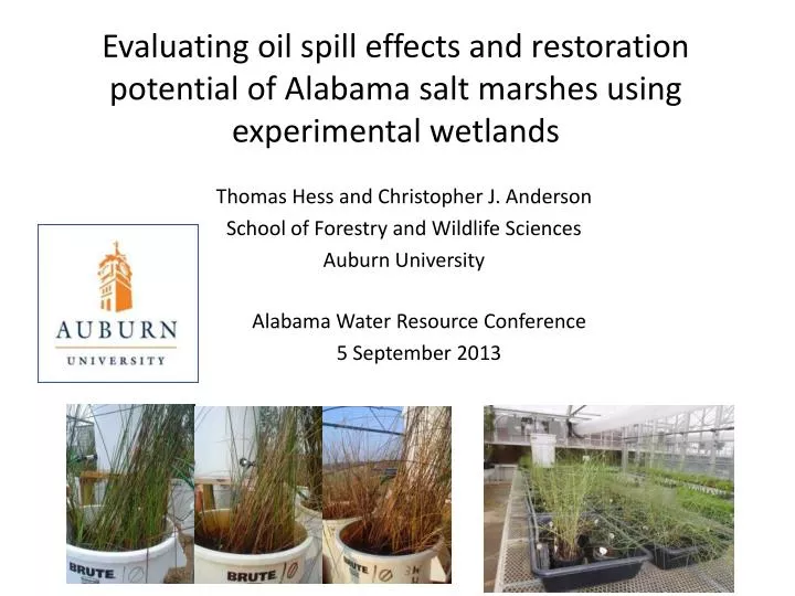 PPT - Thomas Hess and Christopher J. Anderson School of Forestry and ...