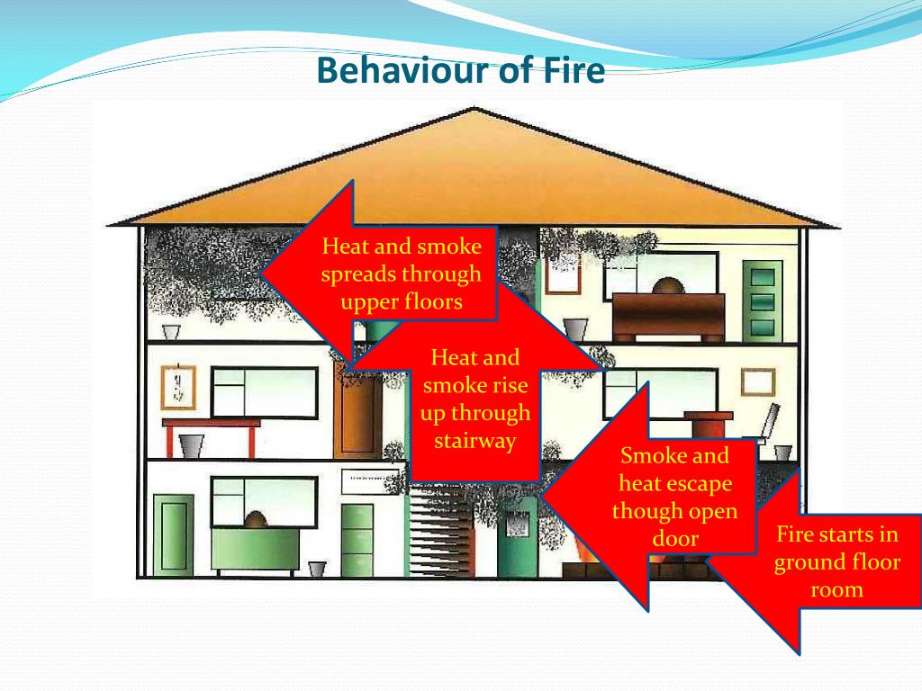 PPT - The role of the Fire Marshall / Fire Warden PowerPoint ...