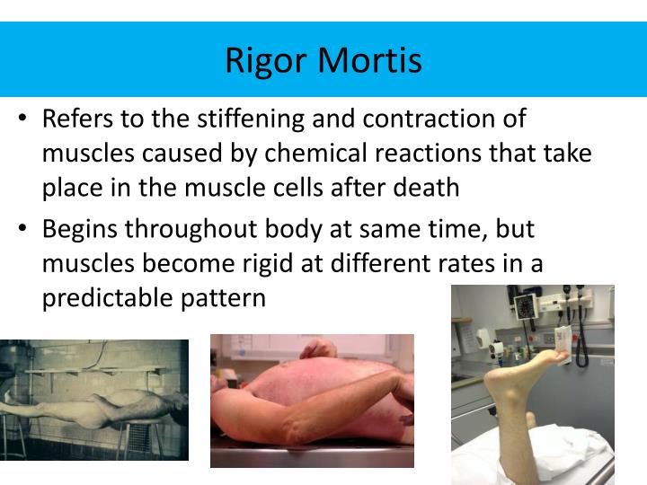 PPT - Time of Death, Decomposition, & Forensic Entomology PowerPoint ...