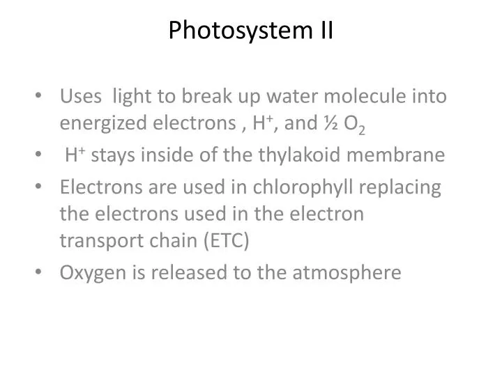 PPT - Photosystem II PowerPoint Presentation, free download - ID:1885287