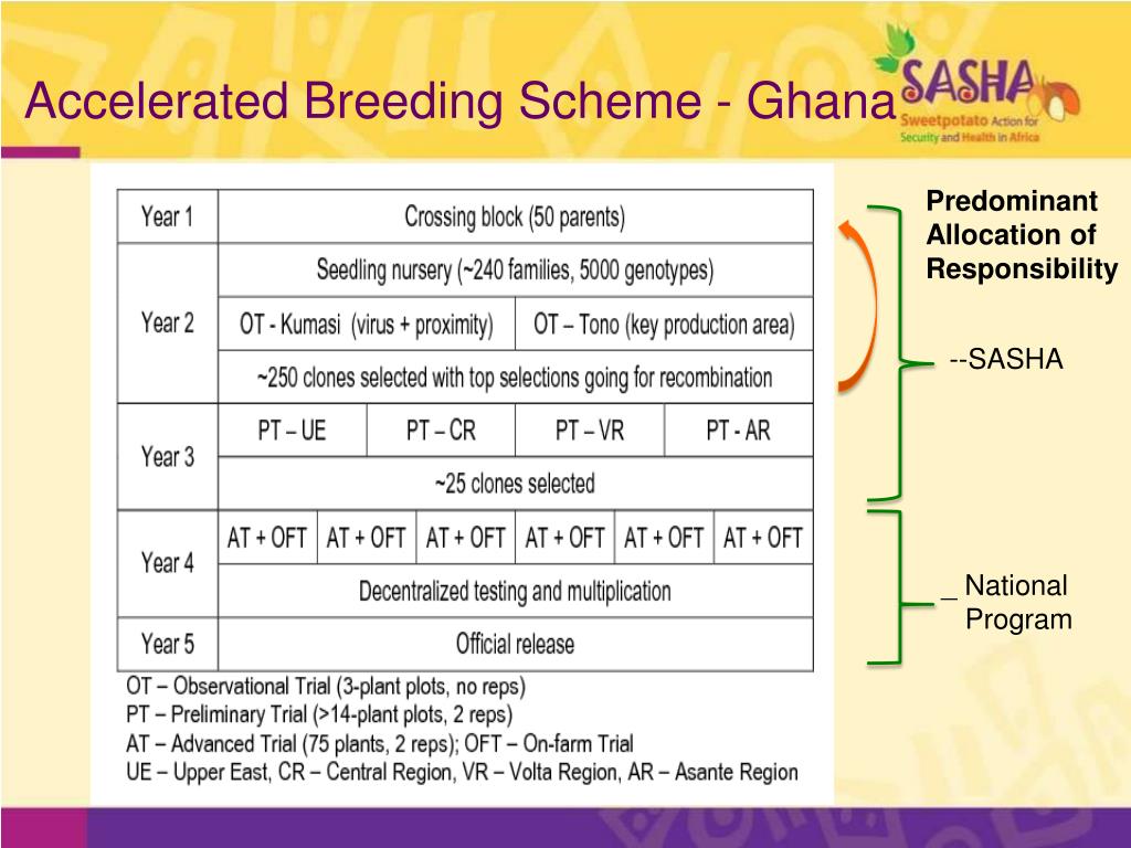 PPT - Ghana Sweetpotato Improvement Update Ted Carey PowerPoint ...